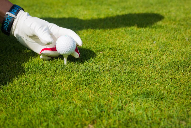 Hand Hold Golf Ball with Tee on Course Stock Image - Image of caucasian ...