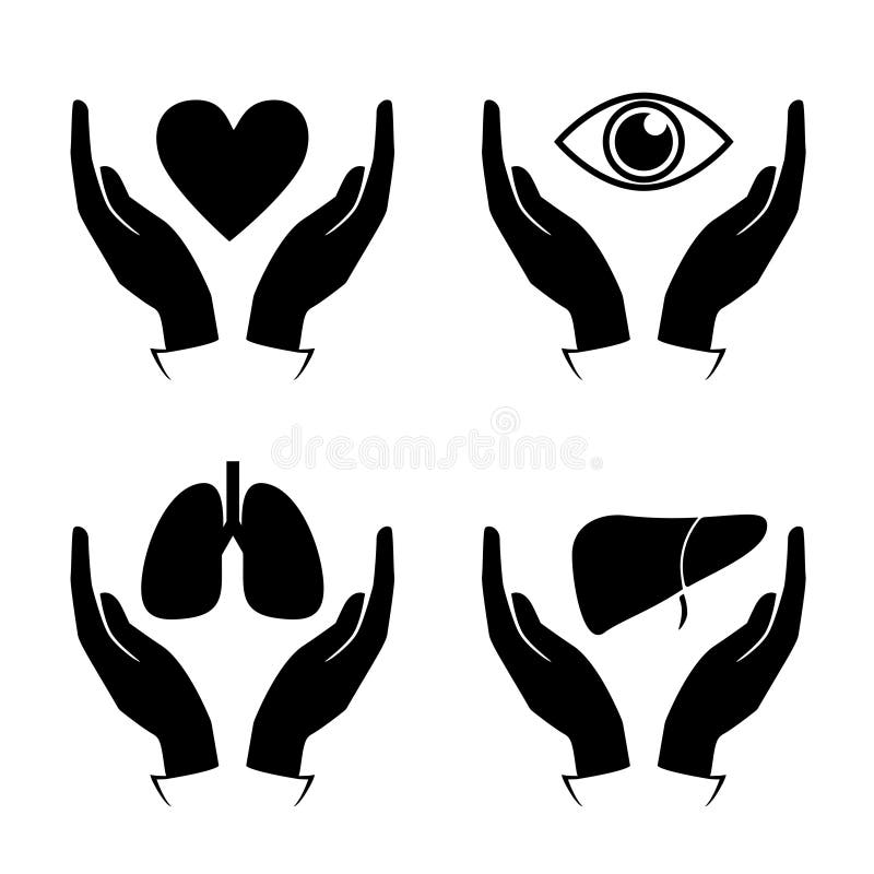 Hand Hold Heart, Eye, Lung, Liver Icons Stock Vector - Illustration of ...