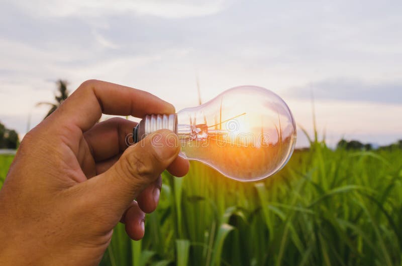 Hand Hold Light Bulb and Sunset Energy Concept Stock Photo - Image of ...