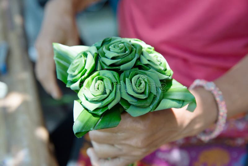 Hand Hold a Make a Pandan Leaf Roses Stock Image - Image of handmade ...
