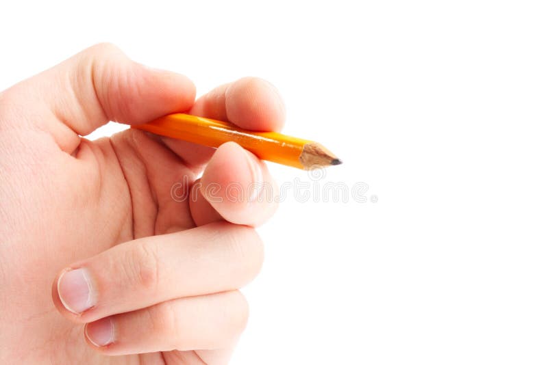 Hand hold pencil. Isolated stock photo. Image of office - 17539030