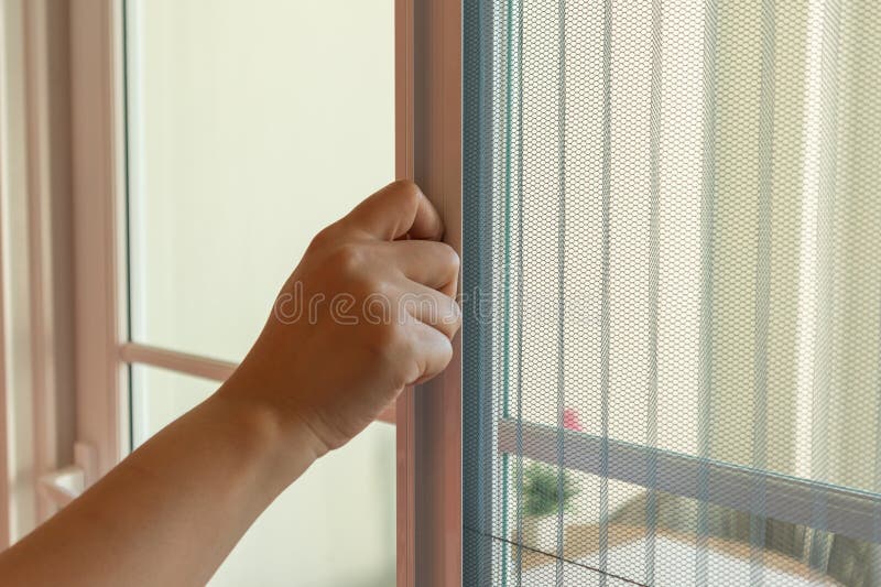 Open Mosquito Net Wire Screen on House Window Protection Against Insect ...