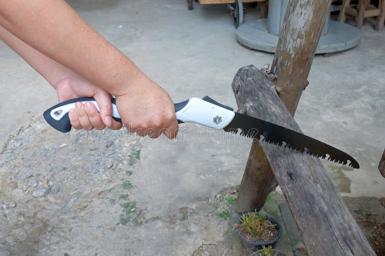 Hand Hold Pull Saw Portable,Garden Saws. Stock Photo - Image of carpenter, closeup: 264972126