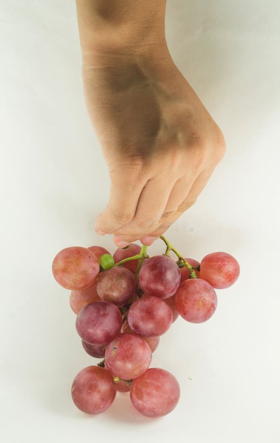 Hand hold red grape stock photo. Image of juicy, dessert - 46457244