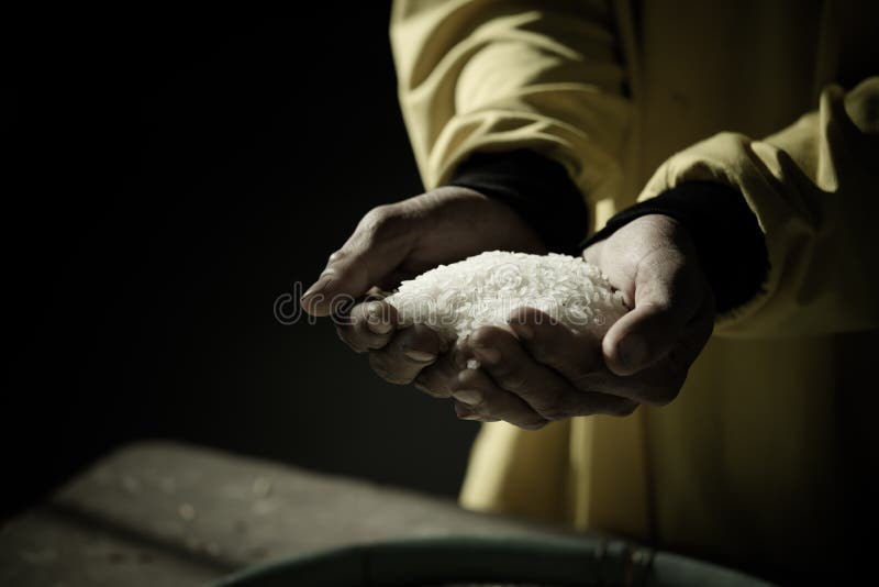 Hand hold rice stock photo. Image of asia, sticky, cuisine - 53582420