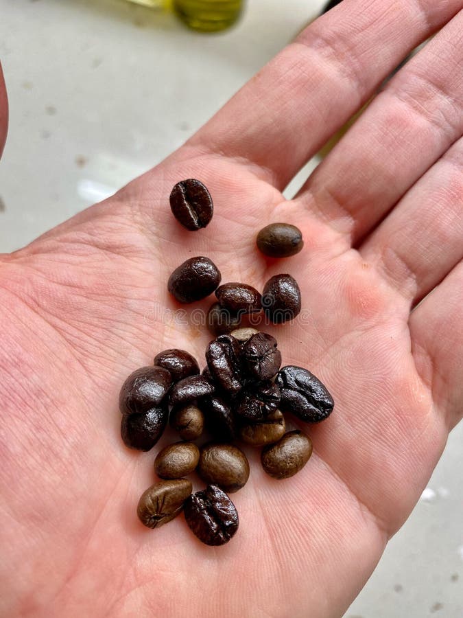 Hand Hold Roasted Coffee Beans. Ready To Use Stock Photo - Image of ...