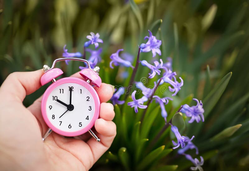 Hand Holding an Alarm Clock on Easter Flowers, Spring Forward, Daylight ...