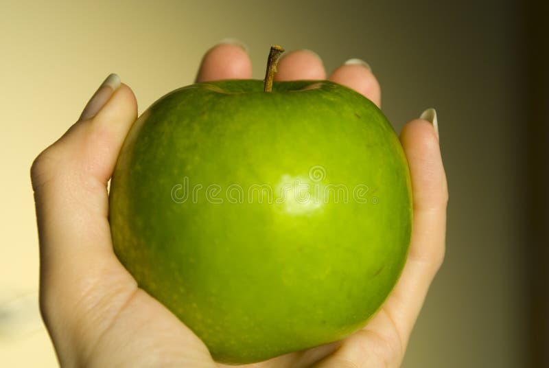 Hand Holding Apple Picture. Image: 2250592