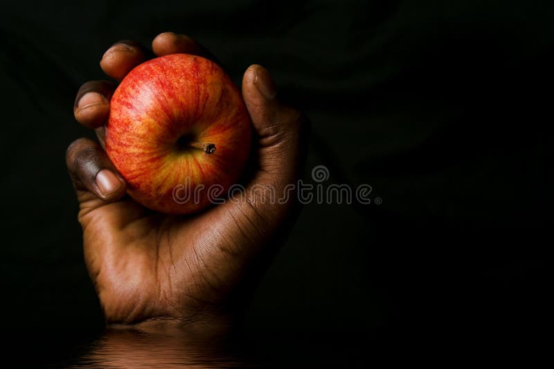 Hand holding apple stock photo. Image of strong, holding - 2328246