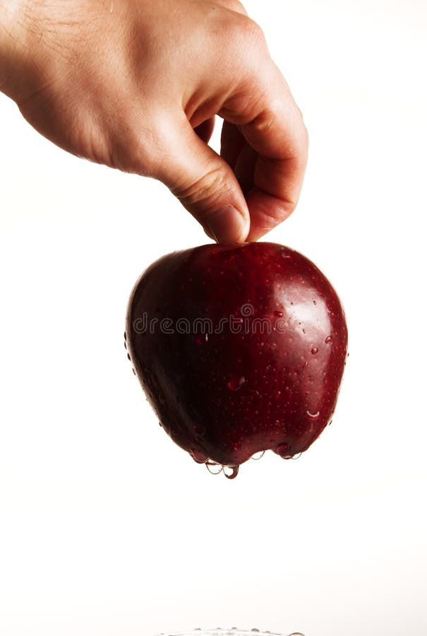 Hand holding apple stock photo. Image of human, holding - 4644800