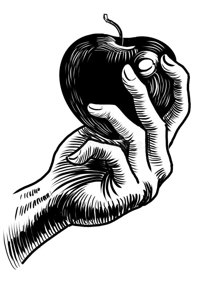 Hand holding apple stock illustration. Illustration of holding - 302945247