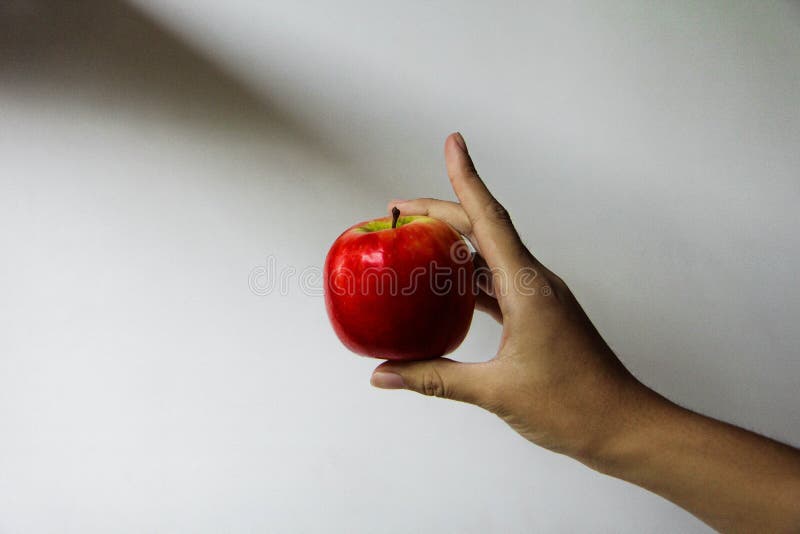Hand holding an apple stock photo. Image of finger, holding - 99101438