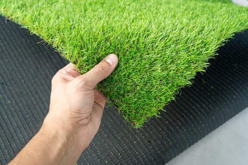 Hand Holding an Artificial Grass Stock Photo - Image of hand, indoors ...