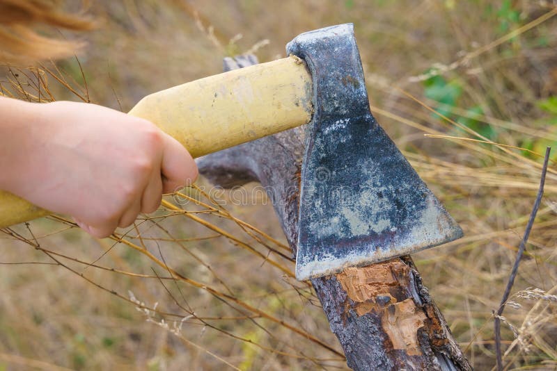203 Old Hand Holding Axe Stock Photos - Free & Royalty-Free Stock ...