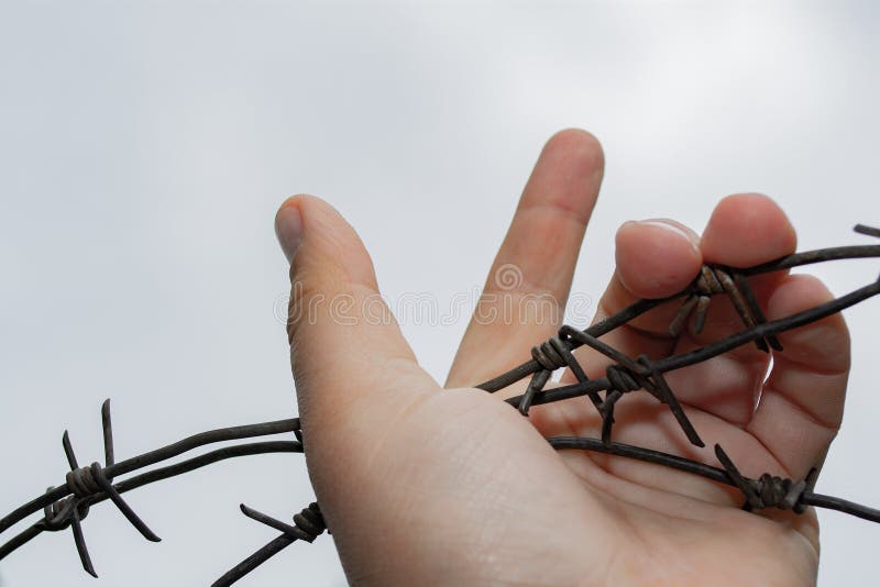 Hand holding barbed wire stock photo. Image of fist - 204236032