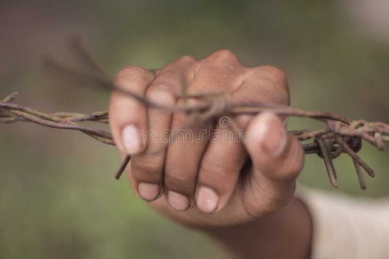 A Hand Holding Barbed Wire and the Background is Green Blur Stock Photo ...