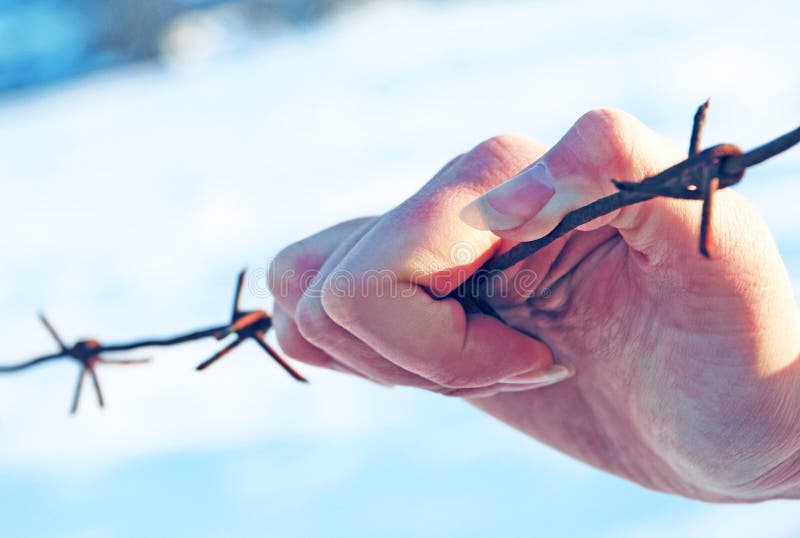 Hand holding a barbed wire stock photo. Image of religion - 104745480