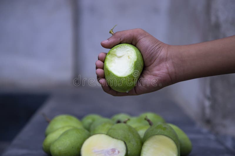 Hand-holding Bite of Raw Green Mango with the Blurry Background Stock ...