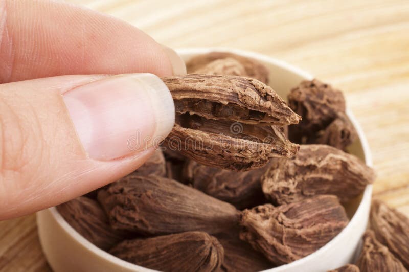 Sikkim Cardamom Stock Photos - Free & Royalty-Free Stock Photos from ...