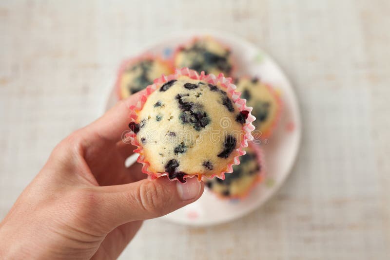 Hand Holding Blueberry Muffin Stock Image - Image of bakery, gourmet ...