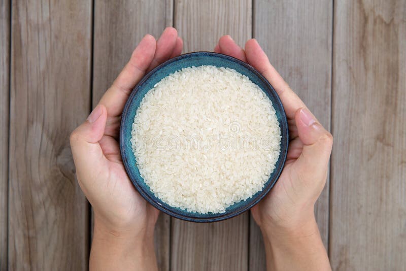 Hand Holding a Bowl of Rice Grain Stock Photo - Image of livelihood ...
