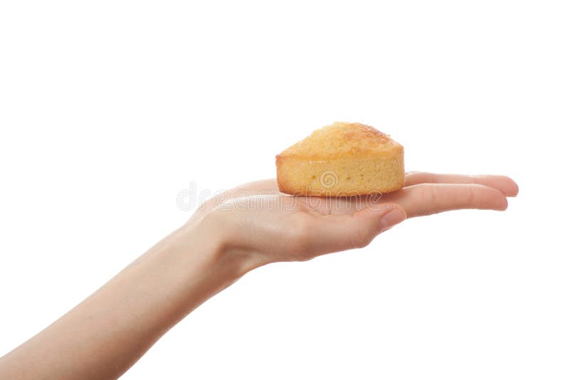 Hand Holding Two Cherries on White Background Stock Photo - Image of ...