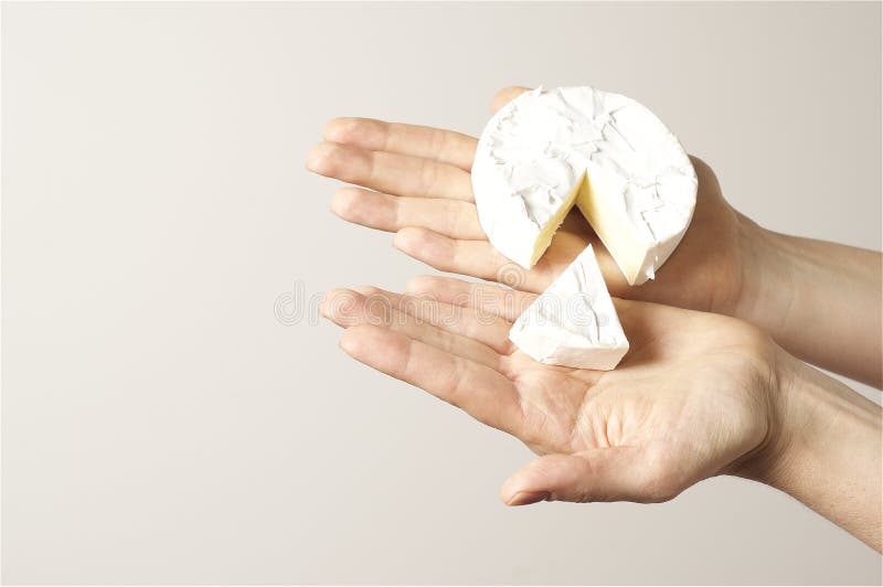 A Hand Holding Camembert Cheese - Artistic Light Stock Photo - Image of ...