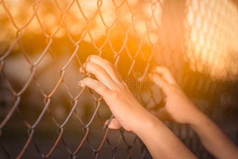 Hand Holding on Chain Link Fence Stock Image - Image of hand, curfews ...