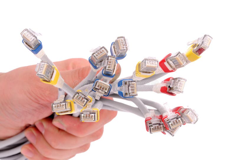 Hand Holding Colorful Internet Cables on White Isolated Background ...