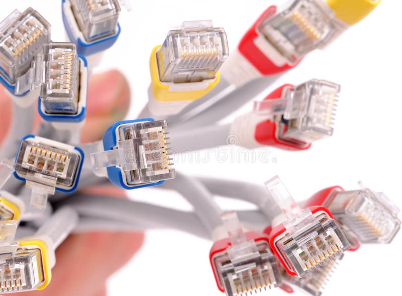 Hand Holding Colorful Internet Cables on White Isolated Background ...