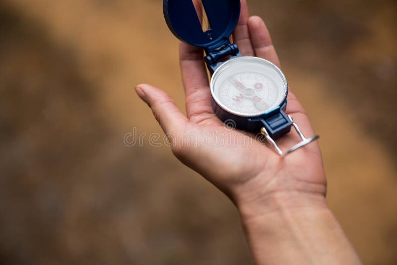 Hand Holding Compass in Forest Stock Photo - Image of exploration ...