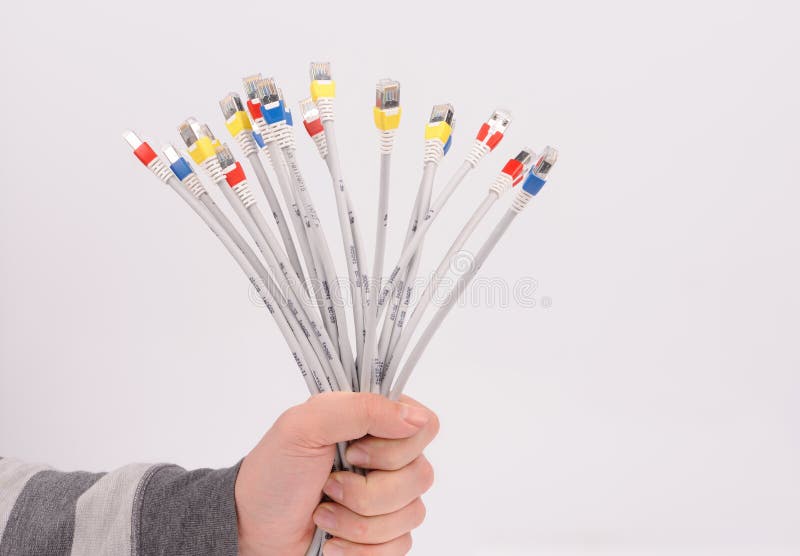 Hand Holding Computer Network Cables Stock Photo - Image of ...