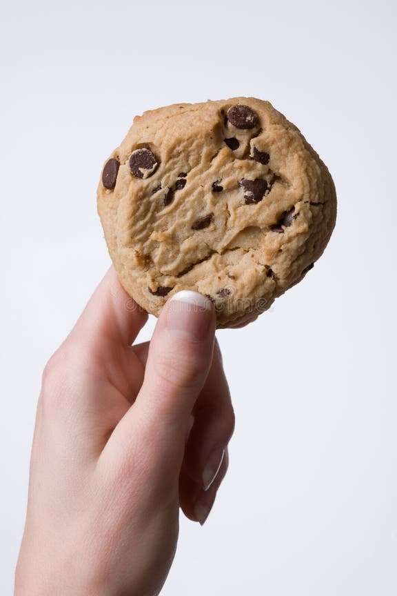 Hand holding cookie stock image. Image of chocolate, fingers - 4591183