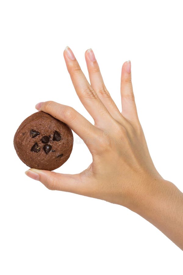 Hand holding cookie stock photo. Image of chocolate, hand - 41522078
