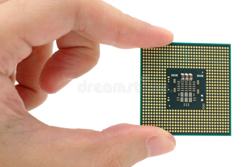 Hand holding a CPU stock image. Image of technology, white - 5196869
