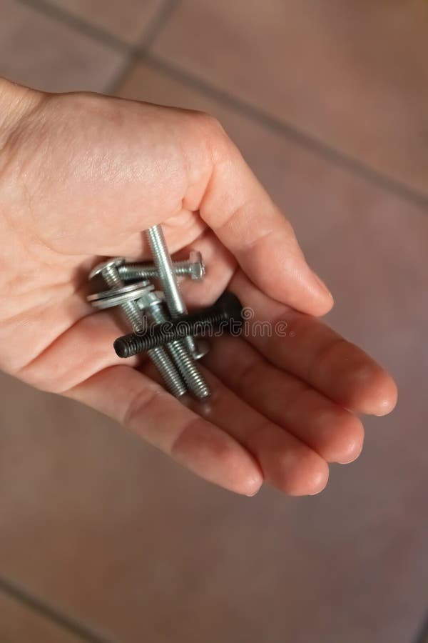A Hand Holding Different Types of Metal Bolts Stock Photo - Image of ...