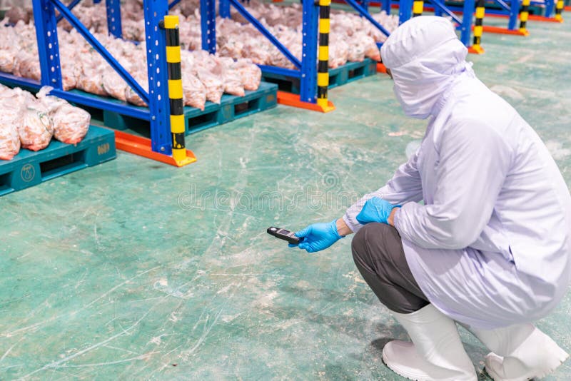 Hand Holding Digital Handheld Light Lux Meter Intensity Stock Photo ...