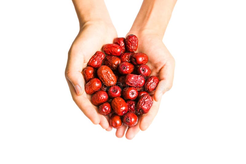 Hand Holding Chinese Red Dates Stock Photo - Image of farmer, china ...