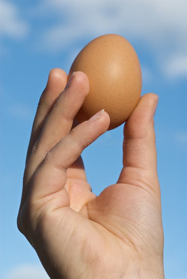 Hand Holding Egg stock image. Image of celebration, food - 7684009