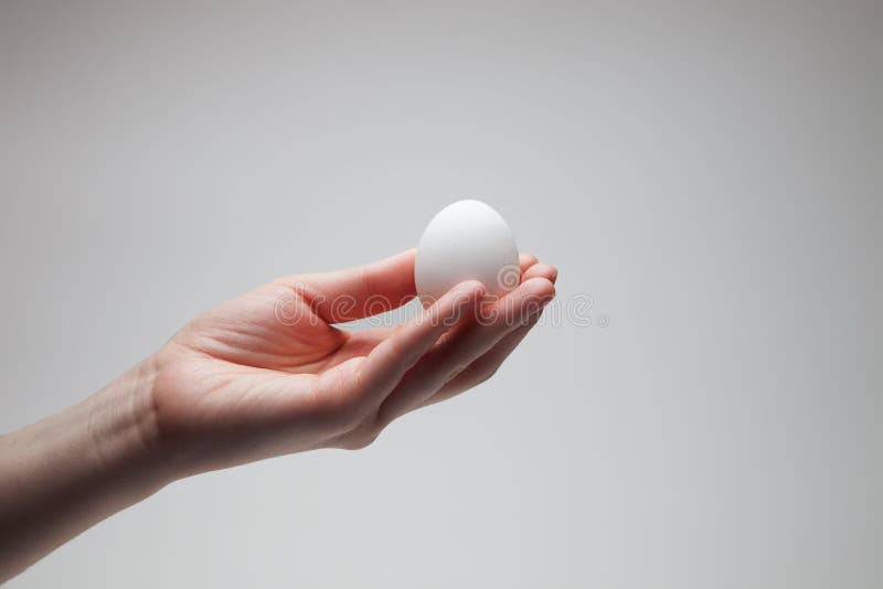 Egg in Hand stock photo. Image of finger, caution, bird - 1853642
