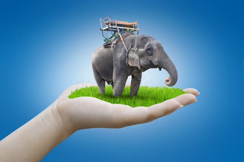 Hand holding elephant stock photo. Image of endangered - 31677736