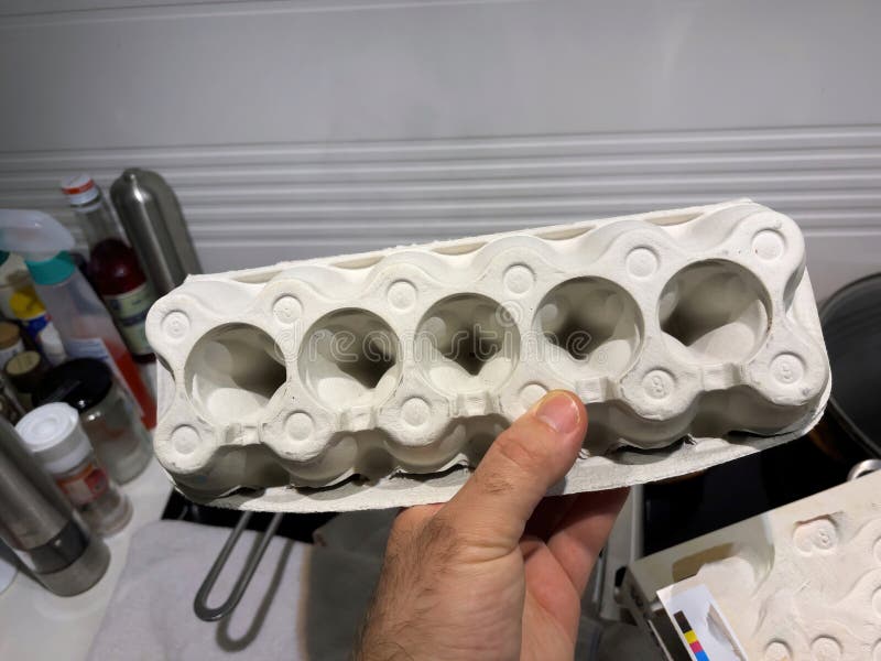 Hand Holding an Empty Egg Carton in a Kitchen Stock Photo - Image of ...