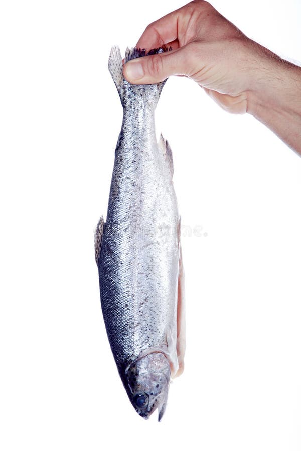 Hand Holding Fish Stock Images - Download 6,313 Royalty Free Photos
