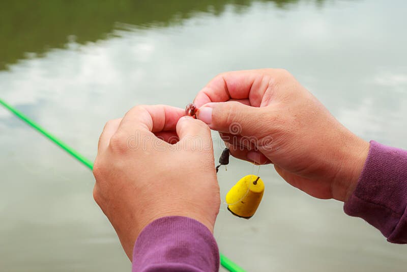 Hand with fishing line stock image. Image of lake, hobby - 122497571