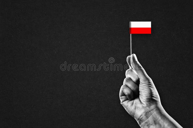 Hand Holding Flag of Poland Stock Image - Image of patriotism, woman ...