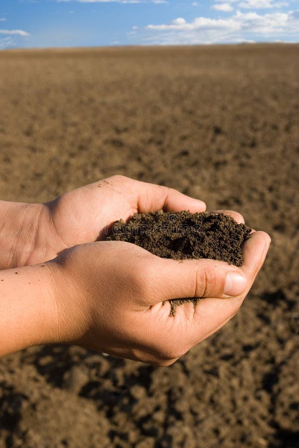 Arable soil concept stock photo. Image of organic, human - 107666978