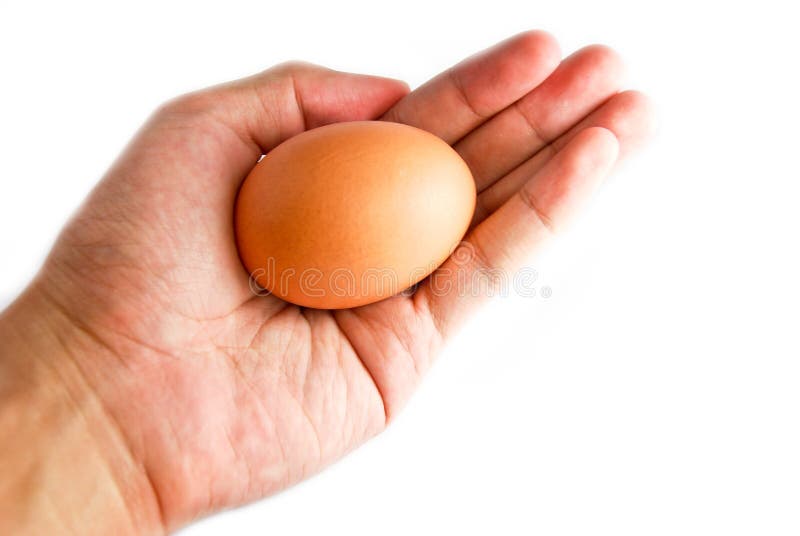 Egg stock photo. Image of giving, food, cooking, give - 1720026