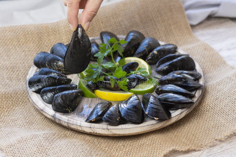 Hand Holding a Fresh Mussel - Image Stock Image - Image of beverage ...