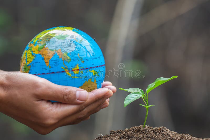 Hand Holding the Globe and Having a Small Tree, Concept of World ...