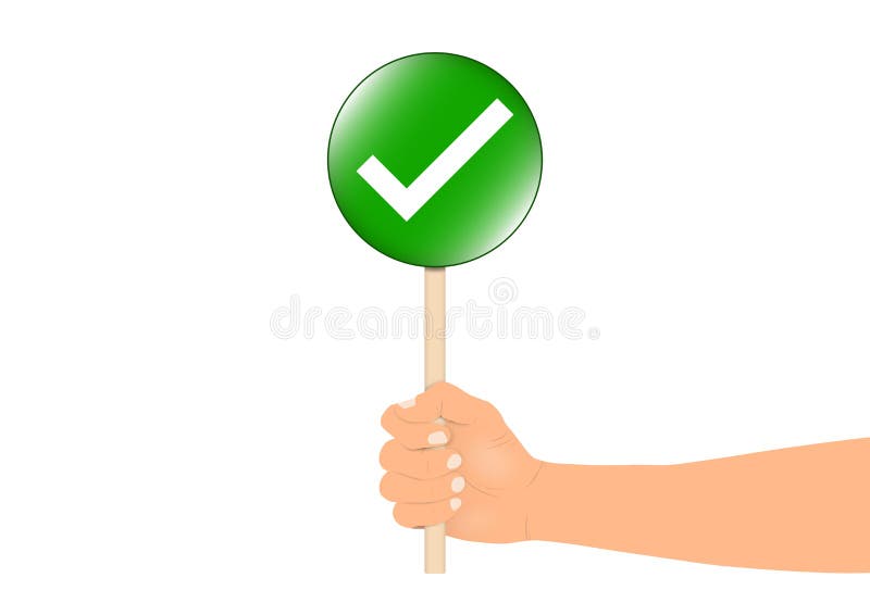 Hand Holding Green Check Sign Vector Illustration Stock Vector ...